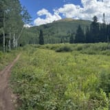 Desolation Lake via Mill D North Fork and Desolation Trail, Utah ...