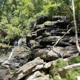Yellow Branch Falls Trail, South Carolina - 2,912 Reviews, Map | AllTrails