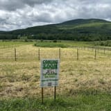 The Windham Path, New York - 652 Reviews, Map | AllTrails