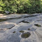 Meadow Run Trail, Pennsylvania - 1,320 Reviews, Map | AllTrails