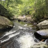 Boone Fork Trail, North Carolina - 3,601 Reviews, Map | AllTrails