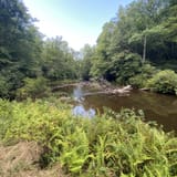 Boone Fork Trail, North Carolina - 3,601 Reviews, Map | AllTrails