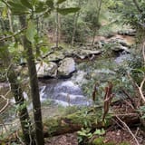 Boone Fork Trail, North Carolina - 3,601 Reviews, Map | AllTrails