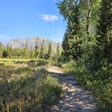 Phelps Lake, Lake Creek, and Woodland Loop, Wyoming - 3,280 Reviews ...
