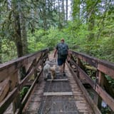 Mima Falls Loop, Washington - 1,774 Reviews, Map | AllTrails
