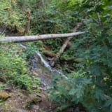 Mima Falls Loop, Washington - 1,766 Reviews, Map | AllTrails