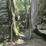 Panther Den Loop, Illinois - 1,011 Reviews, Map | AllTrails