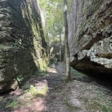 Panther Den Loop, Illinois - 1,079 Reviews, Map | AllTrails