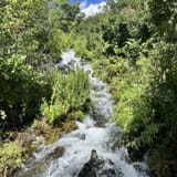 Cascade Springs Interpretive Trail, Utah - 533 Reviews, Map | AllTrails