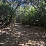 El Dorado Park Nature Trail, California - 1,725 Reviews, Map | AllTrails