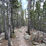 Ypsilon Lake Trail, Colorado - 1,335 Reviews, Map | AllTrails