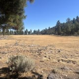 Dry Pond Loop, Nevada - 1,645 Reviews, Map | AllTrails