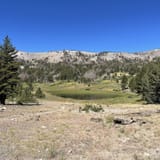 Tamarack Peak Loop, Nevada - 1,064 Reviews, Map | AllTrails