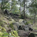 Manitou Point Preserve Trail, New York - 280 Reviews, Map | AllTrails