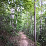 Hard Times Loop, North Carolina - 1,600 Reviews, Map | AllTrails