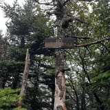 Mount Marshall via the Calamity Brook Trail, New York - 962 Reviews ...