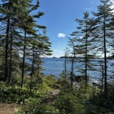 Scoville Point via Stoll Trail, Michigan - 475 Reviews, Map | AllTrails