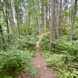 Lost '40' Trail, Minnesota - 182 Reviews, Map | AllTrails