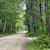 Lost '40' Trail, Minnesota - 182 Reviews, Map | AllTrails