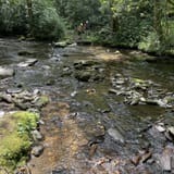 The Boogerman Trail, North Carolina - 525 Reviews, Map | AllTrails