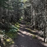 Scoville Point via Stoll Trail, Michigan - 475 Reviews, Map | AllTrails