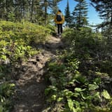 Scoville Point via Stoll Trail, Michigan - 475 Reviews, Map | AllTrails