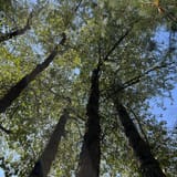 Painted Rocks Nature Trail, Washington - 770 Reviews, Map | AllTrails