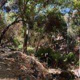 Moses Spring and Rim Trail Loop, California - 2,798 Reviews, Map ...