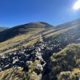 Mount Chapin, Chiquita, and Ypsilon Mountain via Chapin Pass Trail ...