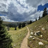 Mount Chapin, Chiquita, and Ypsilon Mountain via Chapin Pass Trail ...