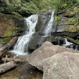 Cat Gap Trail to John Rock Loop, North Carolina - 2,459 Reviews, Map ...