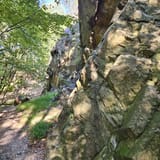 Neversink Loop Trail, Pennsylvania - 1,261 Reviews, Map | AllTrails