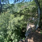 Whitaker Point Trail (Hawksbill Crag), Arkansas - 4,041 Reviews, Map ...