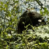 Heads Pond, New Hampshire - 889 Reviews, Map | AllTrails