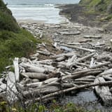 Devil's Churn, Trail of the Restless Way, and Captain Cook Loop, Oregon ...