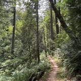 Maple and Wildwood Loop, Oregon - 955 Reviews, Map | AllTrails