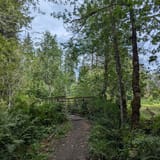 Mima Falls Loop, Washington - 1,780 Reviews, Map | AllTrails