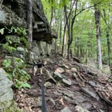 Boulder Loop Trail, New Hampshire - 2,207 Reviews, Map | AllTrails