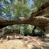Princess Arch Trail, Kentucky - 1,463 Reviews, Map | AllTrails