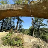 Sky Bridge Trail, Kentucky - 2,689 Reviews, Map | AllTrails