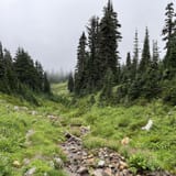 Skyline Loop, Washington - 17,308 Reviews, Map | AllTrails