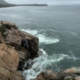 Ocean Path Trail, Maine - 4,326 Reviews, Map | AllTrails