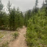 Meadow Loop and Ridge Trail, Colorado - 4,383 Reviews, Map | AllTrails