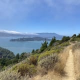 Angel Island Perimeter Loop, California - 2,065 Reviews, Map | AllTrails