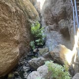 Moses Spring and Rim Trail Loop, California - 2,798 Reviews, Map ...