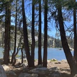 Weaver Lake Trail, California - 1,180 Reviews, Map | AllTrails