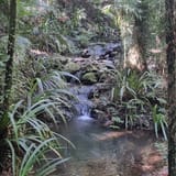 Coomera Circuit Walk, Queensland, Australia - 1,395 Reviews, Map ...