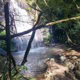 Coomera Circuit Walk, Queensland, Australia - 1,395 Reviews, Map ...