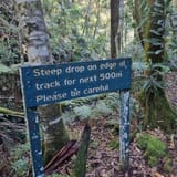 Coomera Circuit Walk, Queensland, Australia - 1,395 Reviews, Map ...