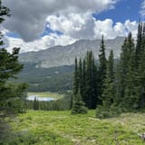Native Lake Trail, Colorado - 263 Reviews, Map | AllTrails